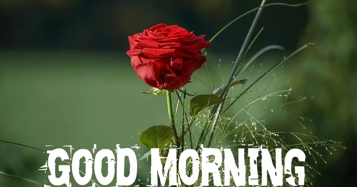 Top 10 Good Morning Images greeting Pictures,Photos for Whatsapp - Good ...