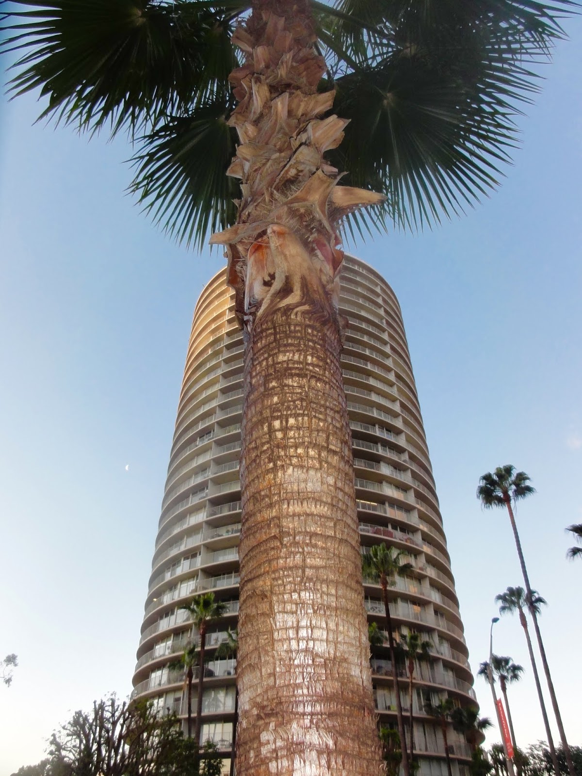 The GoFather Of Math: Three Of A Kind ... Circular Building With Palm ...