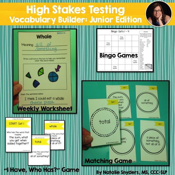 High Stakes Testing: Vocabulary Builder, Junior Edition