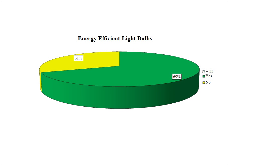 LIGHTING THE ACADEMIC COMMONS: A Case Study of Electricity Efficiency ...