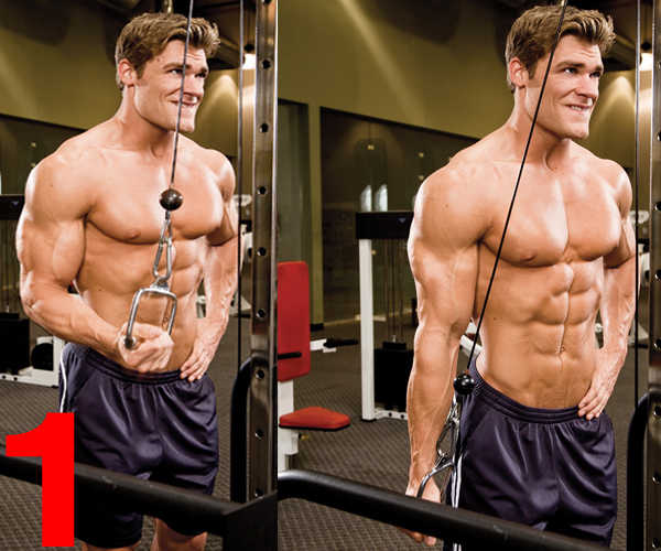 Cara Melatih Otot Tricep dengan Chest Expander