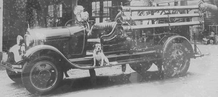 Famous Dogs in History: Bunkō: The Firefighting Dog