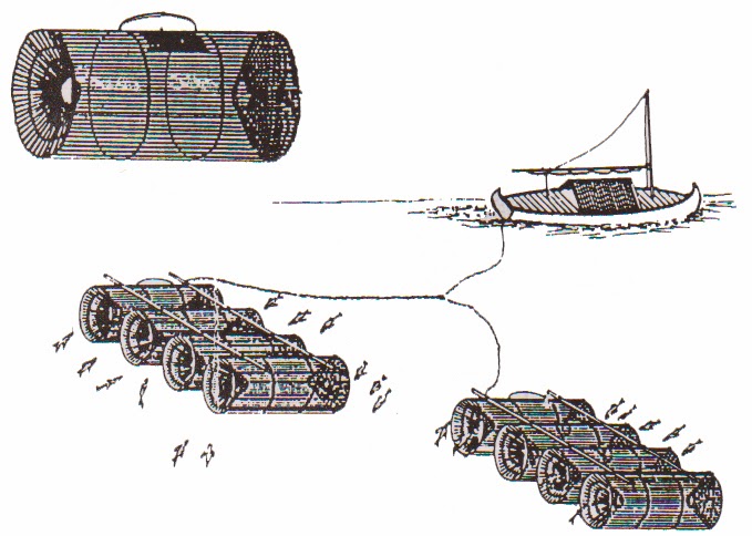 MEDIA PENYULUHAN PERIKANAN: MENGENAL ALAT TANGKAP BUBU