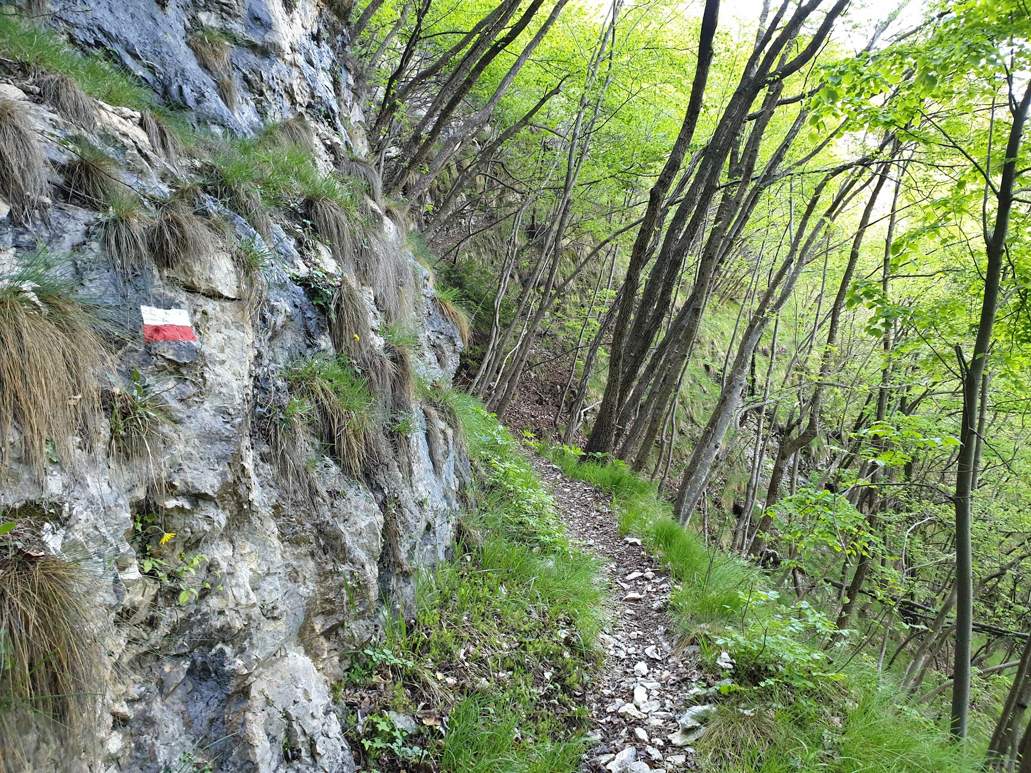 Su strade e sentieri: PEDESCALA - FORTE CORBIN - VAL D'ASSA - PEDESCALA