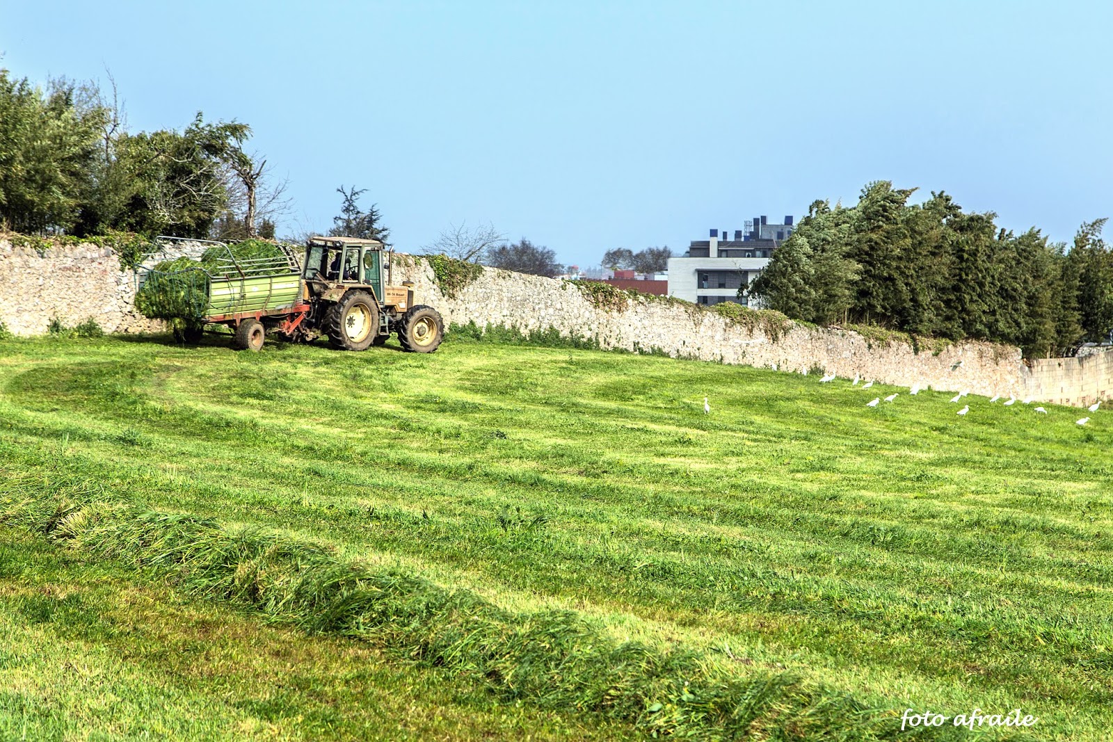 Foto afraile: GUARNIZO (El Astillero) Cantabria. España.
