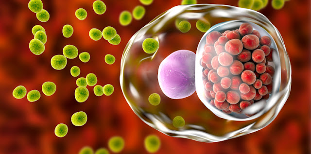 What are the first signs of Chlamydia in Men and Women| | Treatment and ...