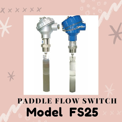 Paddle Flow Switch Model FS25 - BB STEEL INTERNATIONNAL