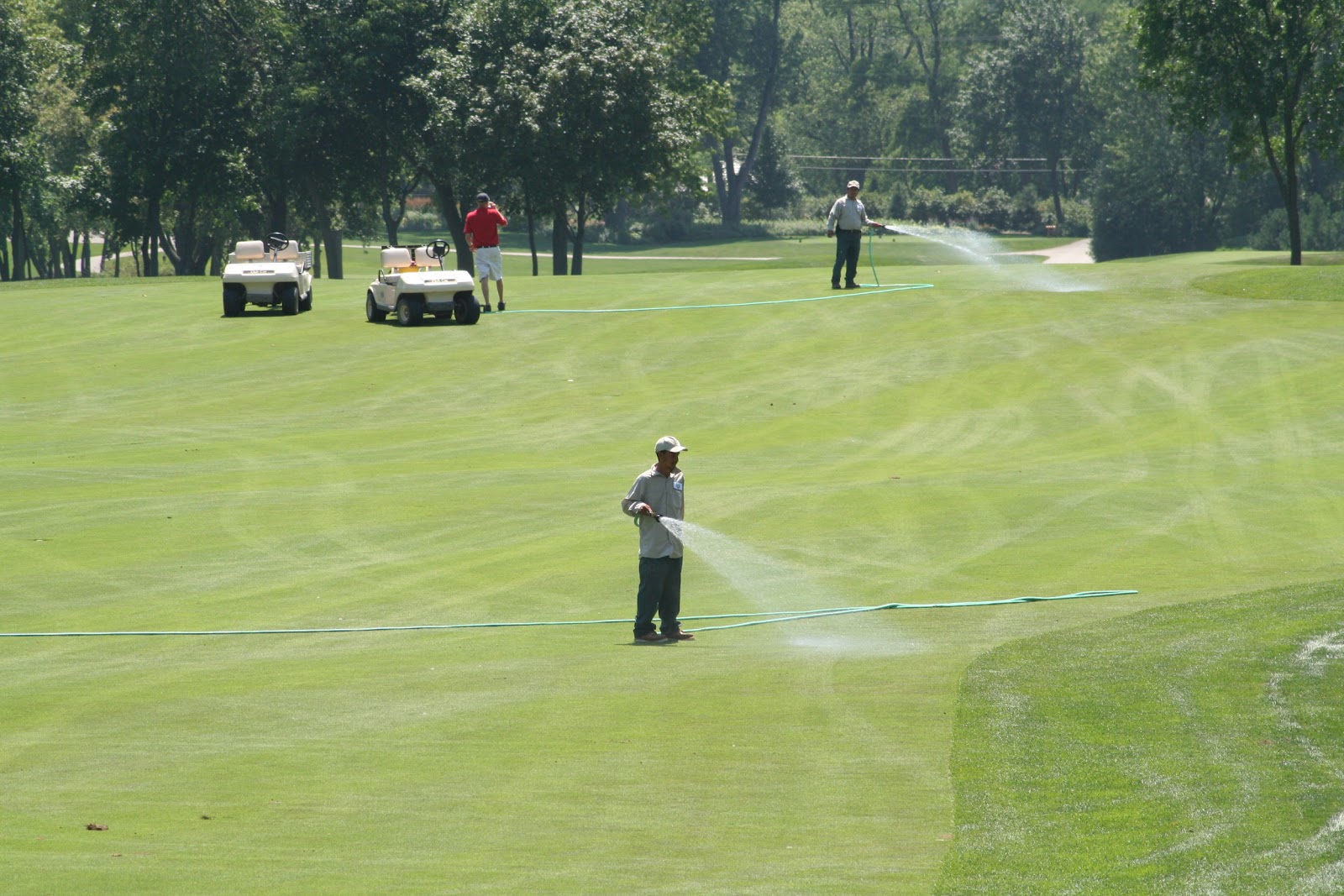 Northmoor Country Club Golf Course Operations: Summer Heat 2012
