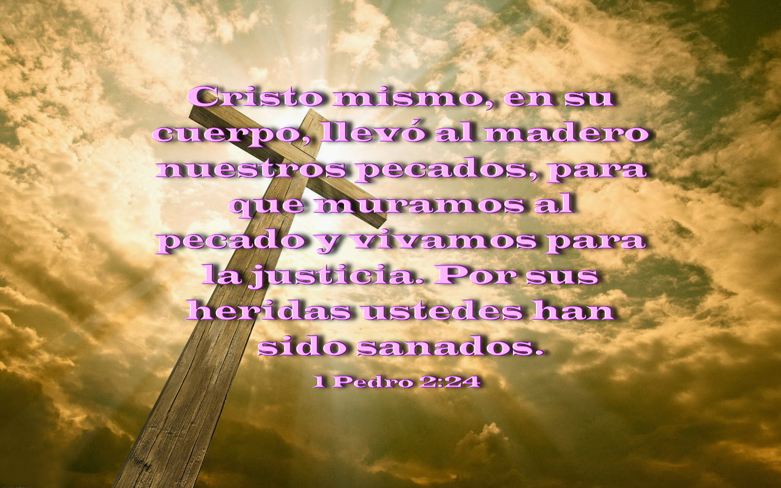 Biblia Paisajes Y Maravillas 1 Pedro 2 24 biblia-paisajes-y-maravillas-1-pedro-2-24