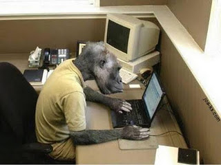 Funny Image Collection: Computer and Funny Computer Pics,Computer fun ...