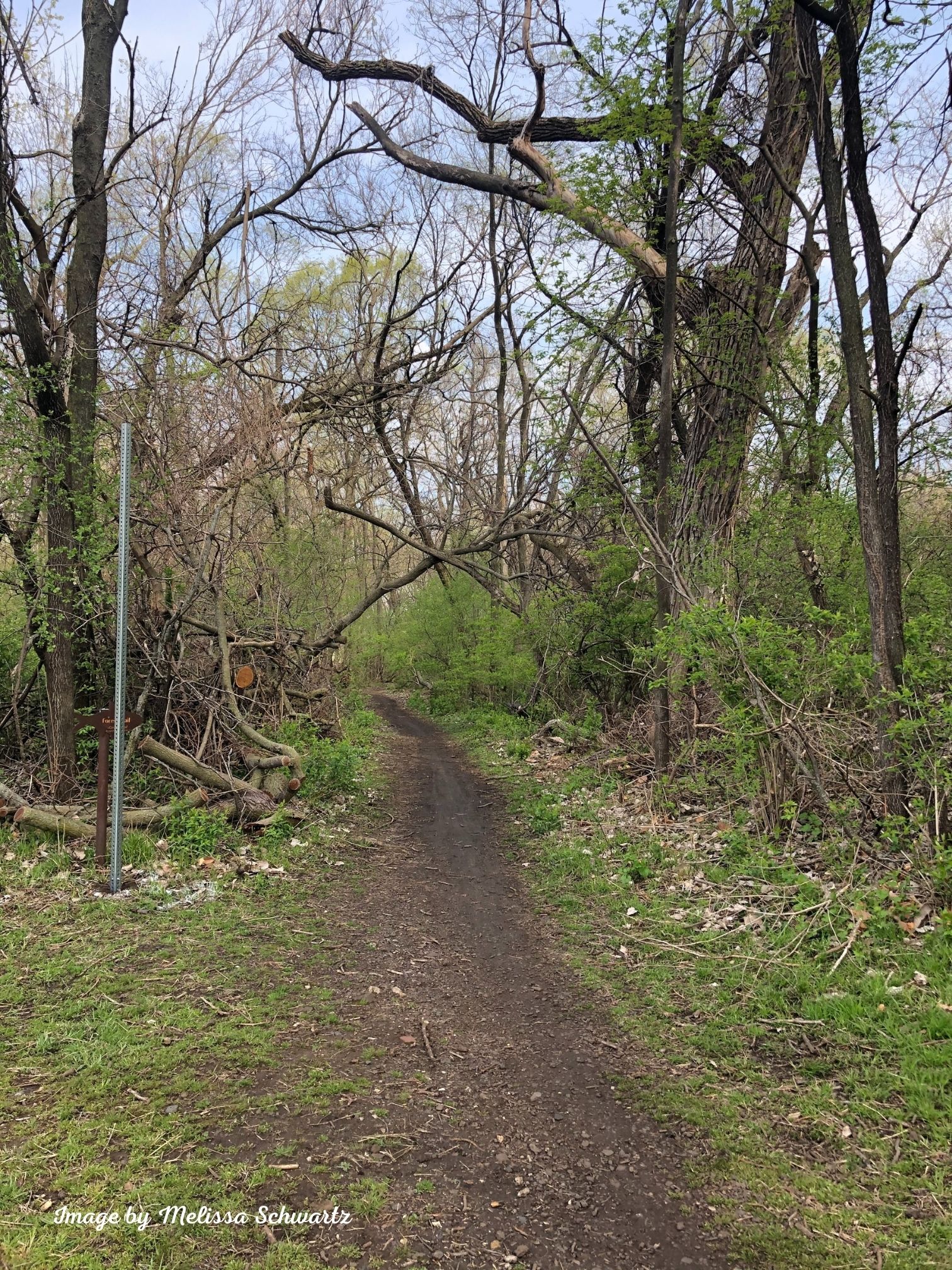 A Little Time and a Keyboard: Moline's Sylvan Island Exemplifies ...