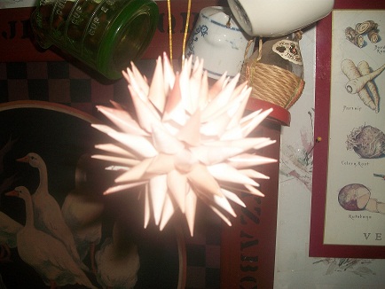 dmnh's creative endeavors: The Beginnings of One, The Continuance of ...