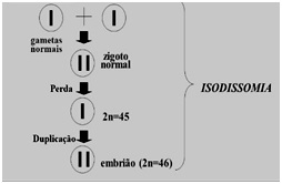 Cromo somos: Padrões de Herança