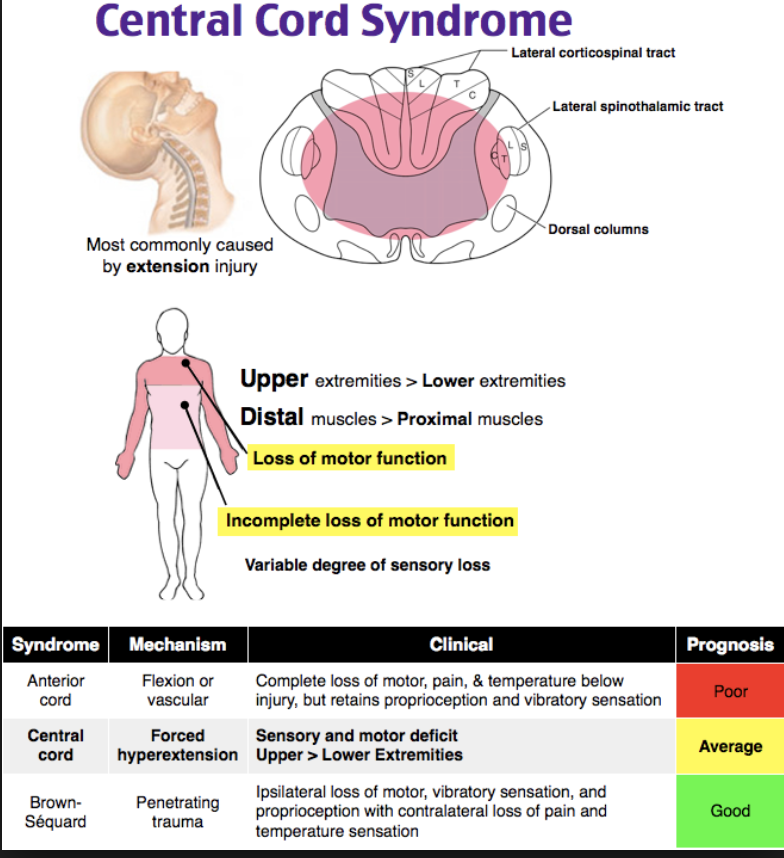 Klasifikasi Spinal Cord Injury - Medstellar