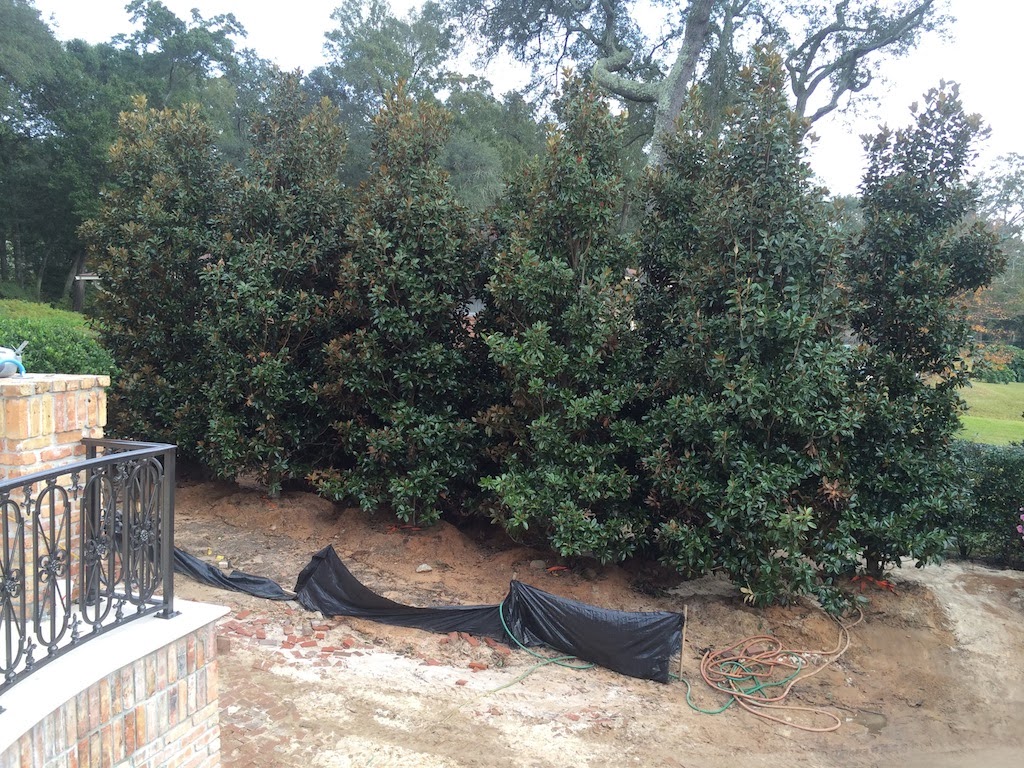 Tanglewood Estate: Home of Fredric G. Levin: Tanglewood Gardens