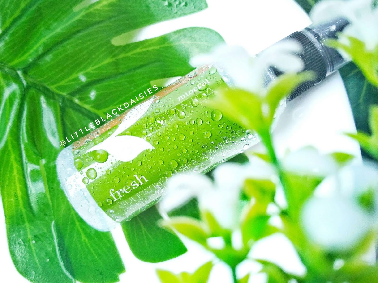 MINERAL BOTANICA FRESH FACE MIST REVIEW - Little Black Daisies