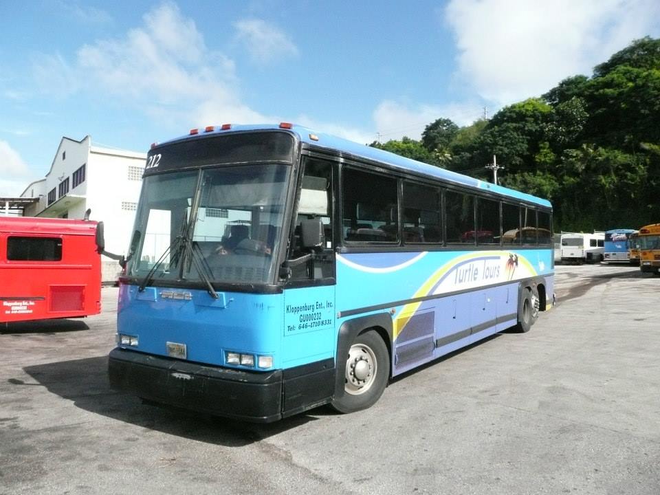 Turtle Tours Guam: June 2013