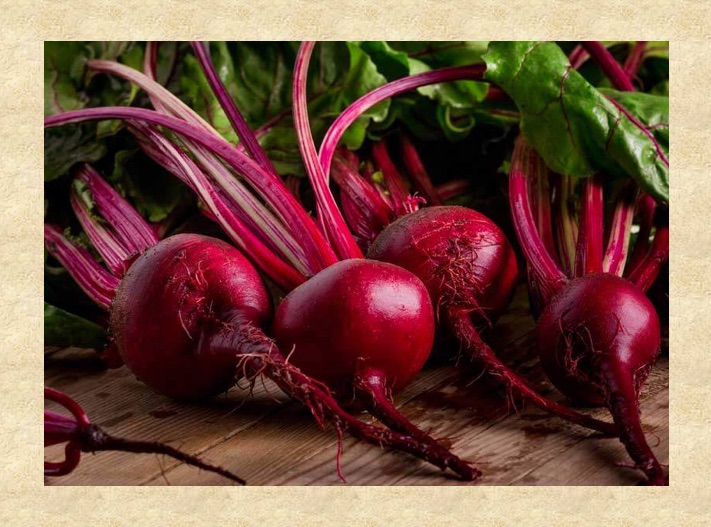 Vampiro Erudito: Comida (Betabel)