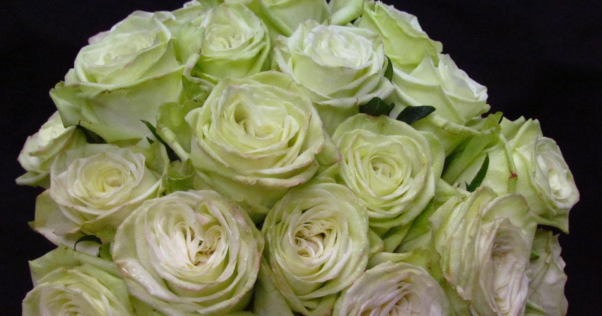 Florafino's Weddings: The "Green Rose" Bouquet
