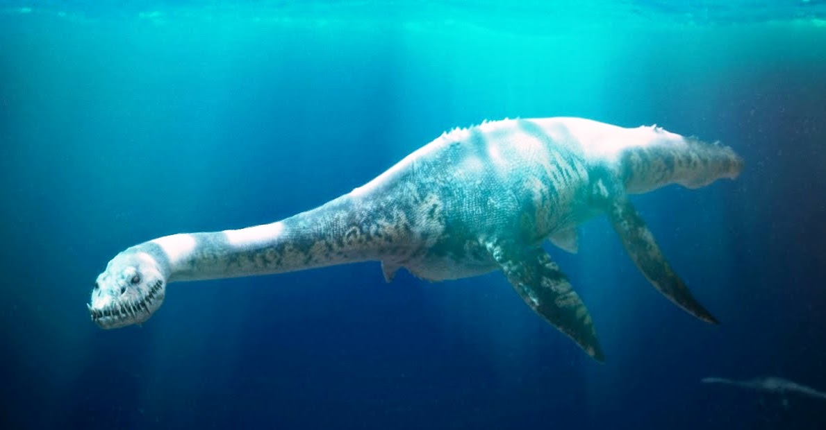 Plesiosauria (Plesiosaurs and Pliosaurs) : Species of giant sea monsters