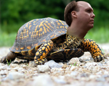 Chris: The Lost Photos: FIRST! The Curtle in its natural habitat.