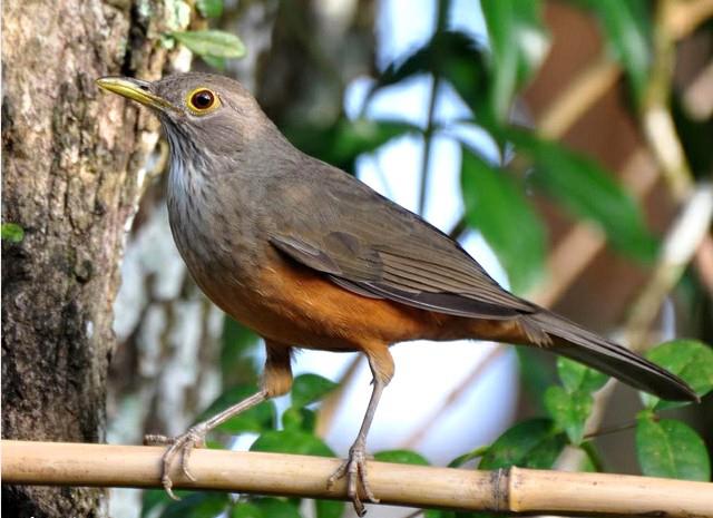 Natureza, Perfeição sem tamanho...