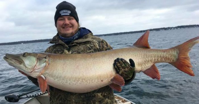 International Fishing News: US: caught a new record size musky of 57 pounds