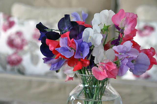 10 Jenis Bunga Dan Artinya - Lulalisaby