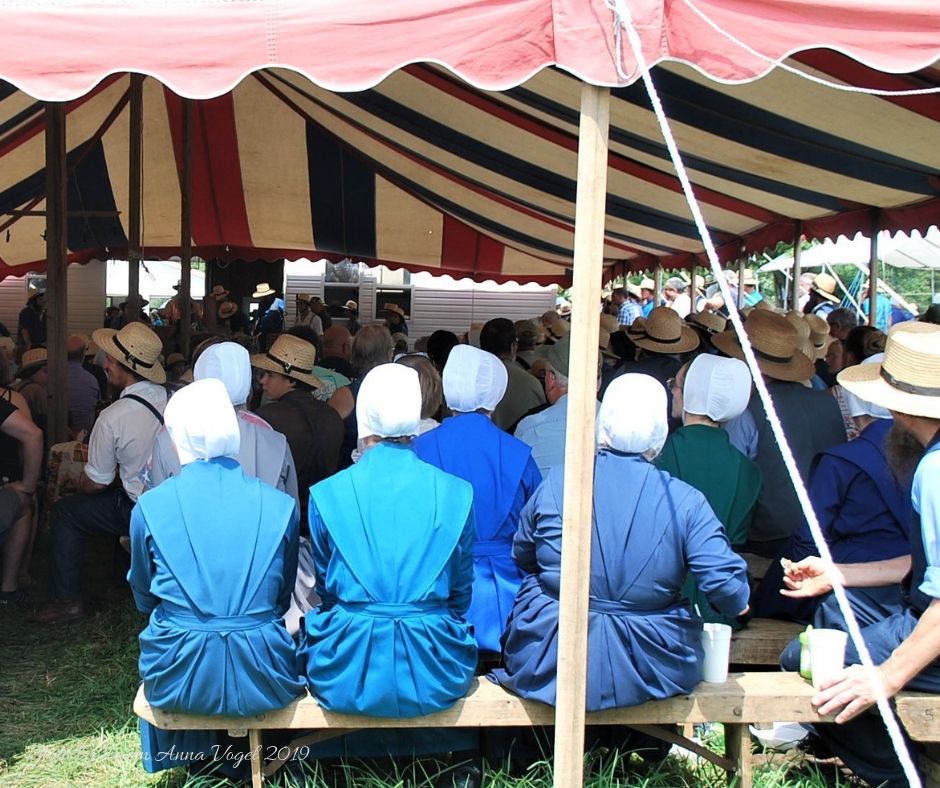 Amish Crossings with Karen Anna Vogel