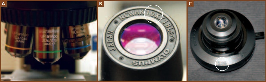 [Microbiology] Types of Microscopy | Free Medical Atlas