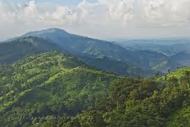 AMAZING BANGLADESH: CHIMBUK HILL