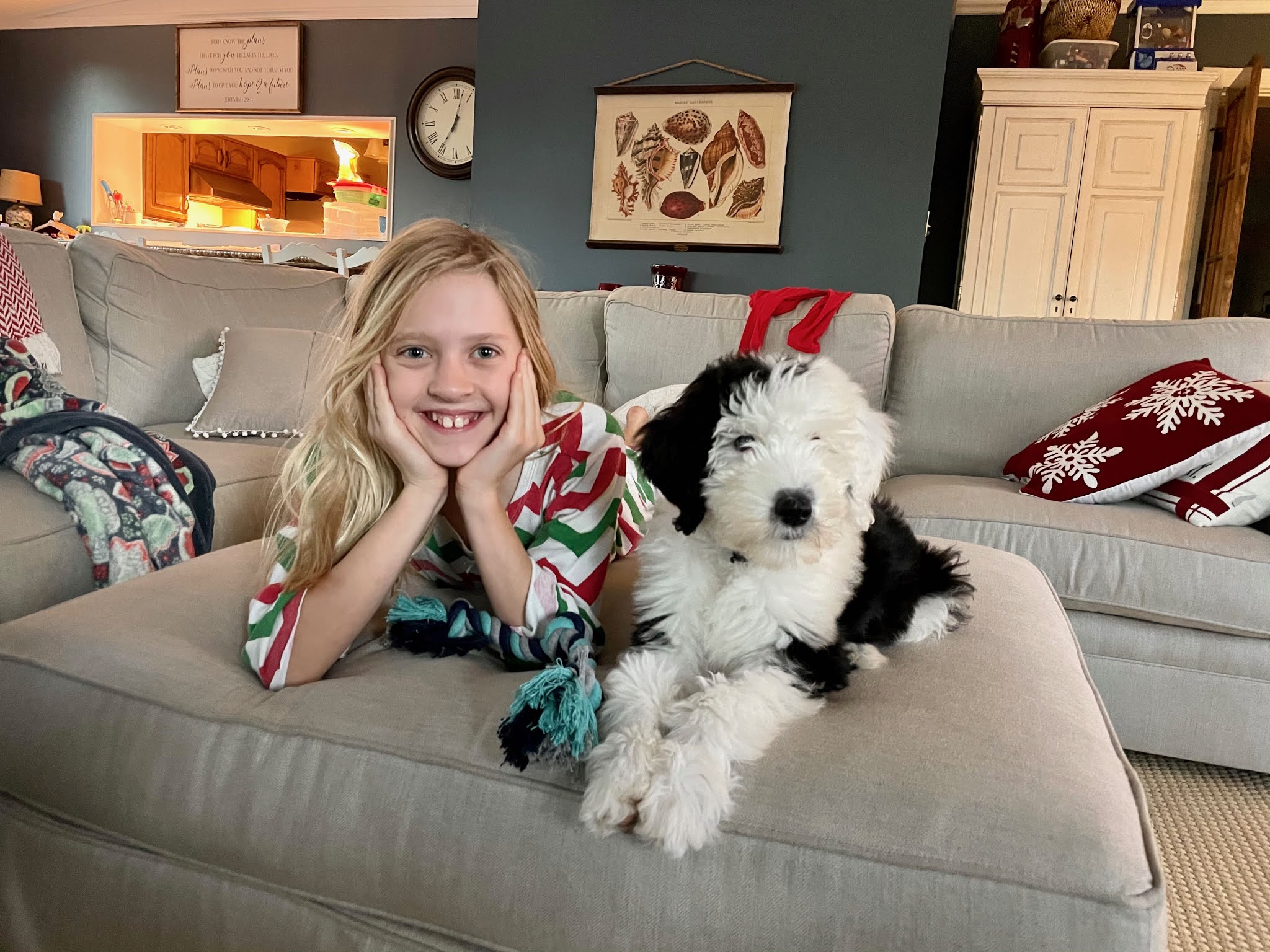 Jenni's Blog: Puppy picture drop!