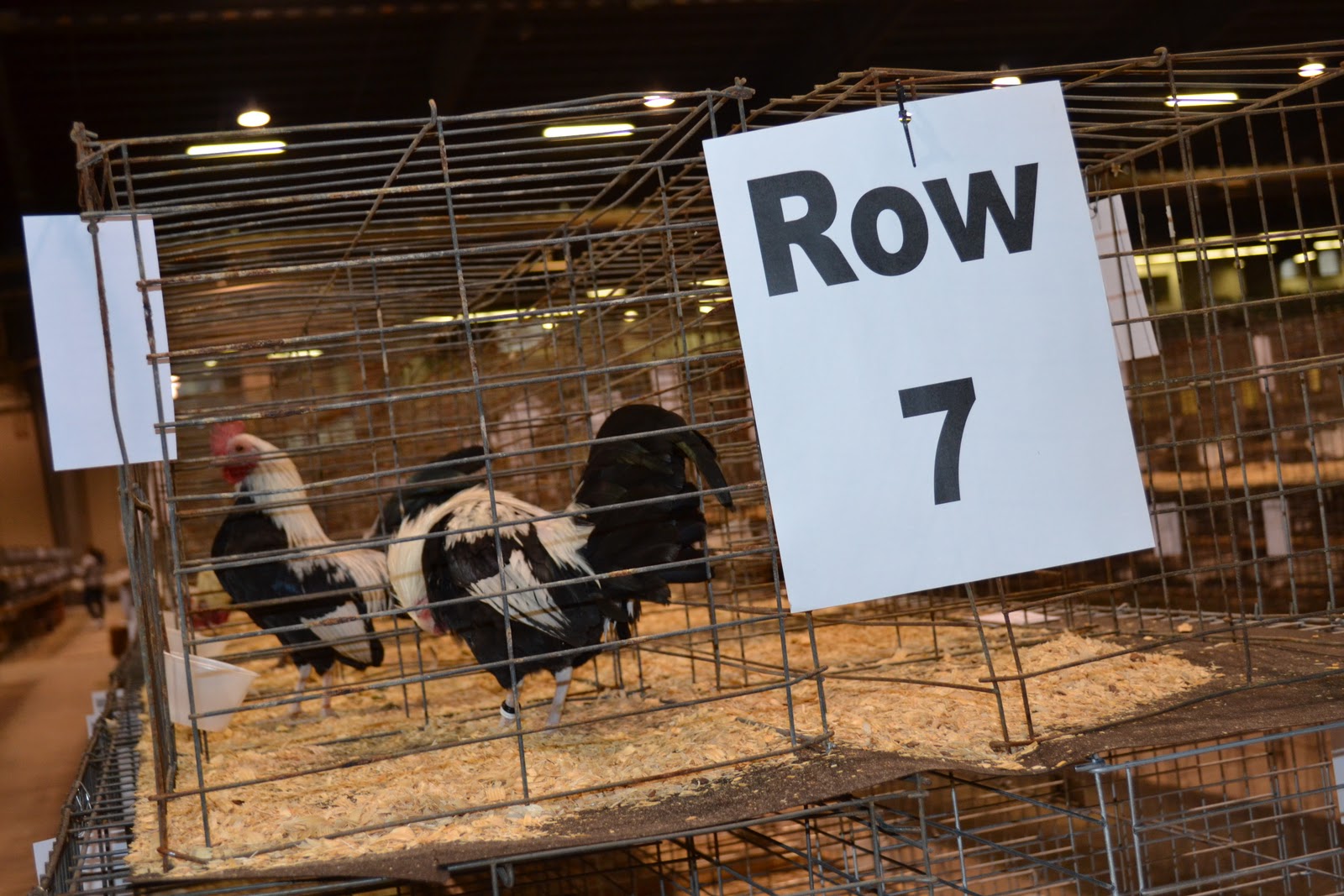Ohio National Poultry Show
