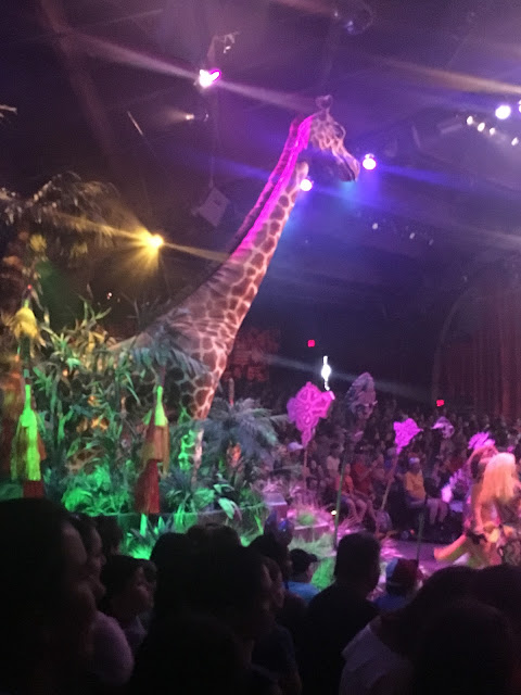 10 Fun Facts About Festival of The Lion King Disney's Animal Kingdom