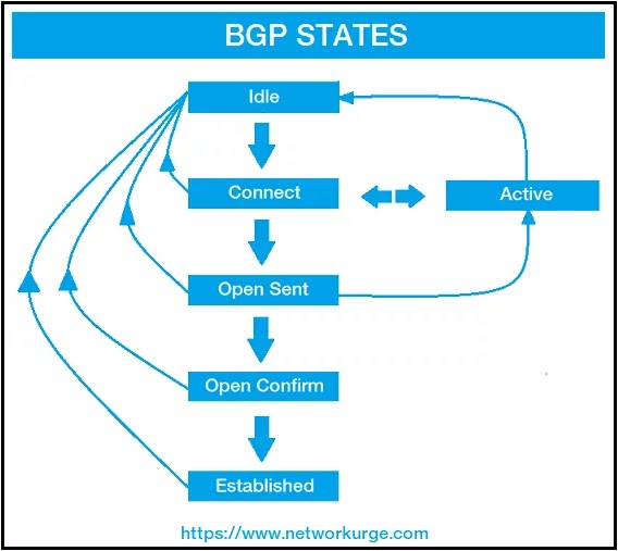 Network Urge | An Urge To Learn