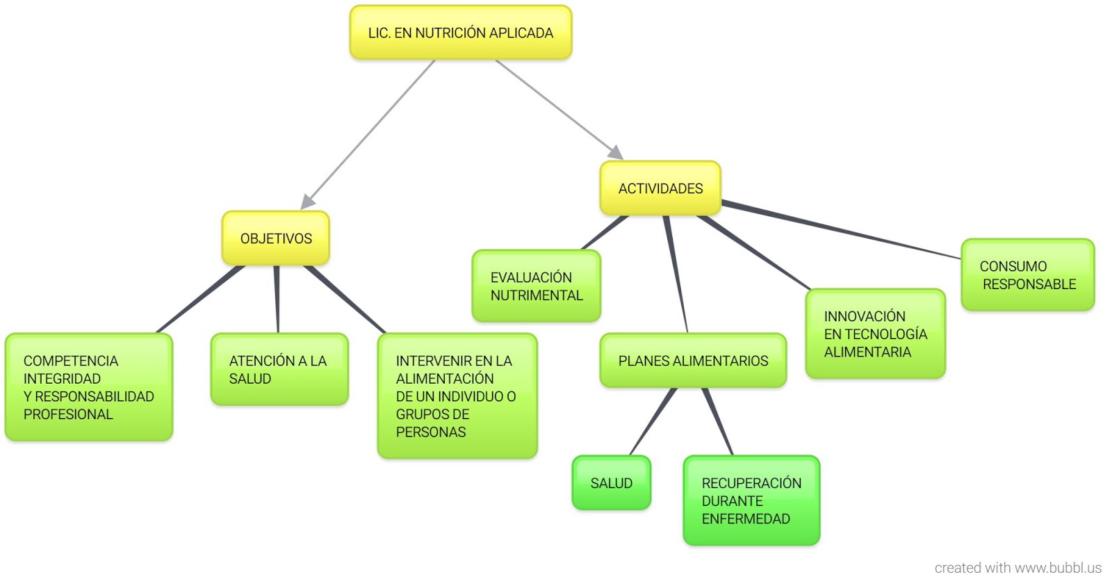 IMPORTANCIA DE UTILIZAR UN ORGANIZADOR GRÁFICO