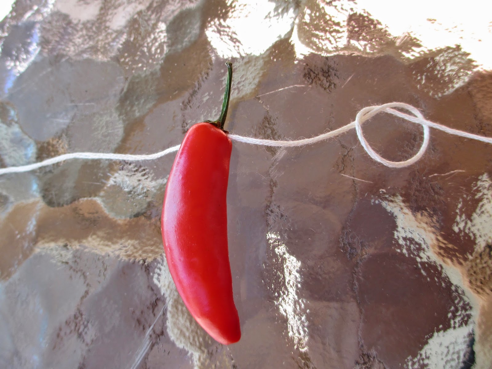Andie's Way: Chili Garland - A Pretty Way to Dry Your Chiles
