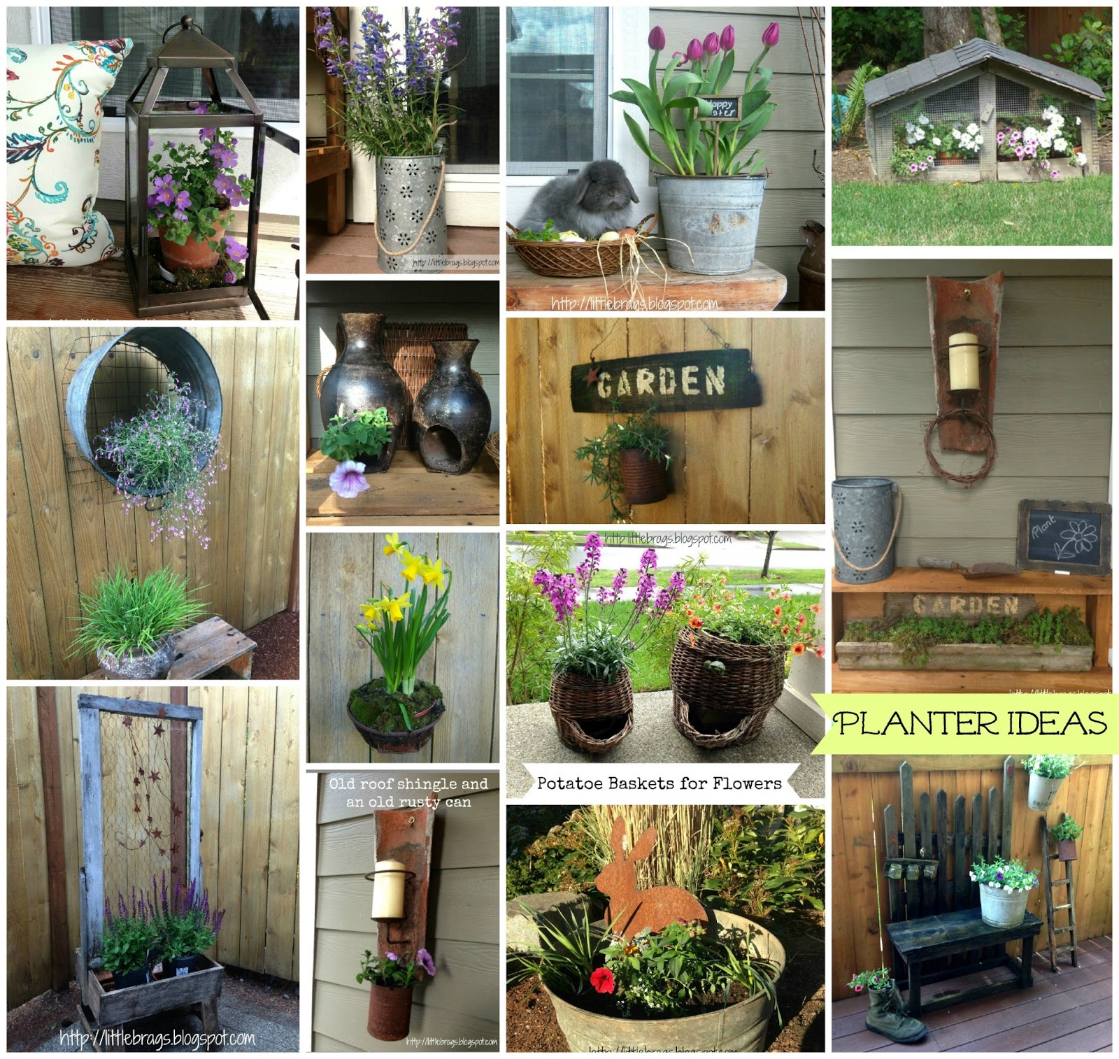 Little Brags: Cute Planting Ideas