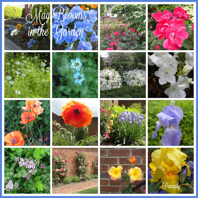 Panoply: May Garden: Profusion of Blooms