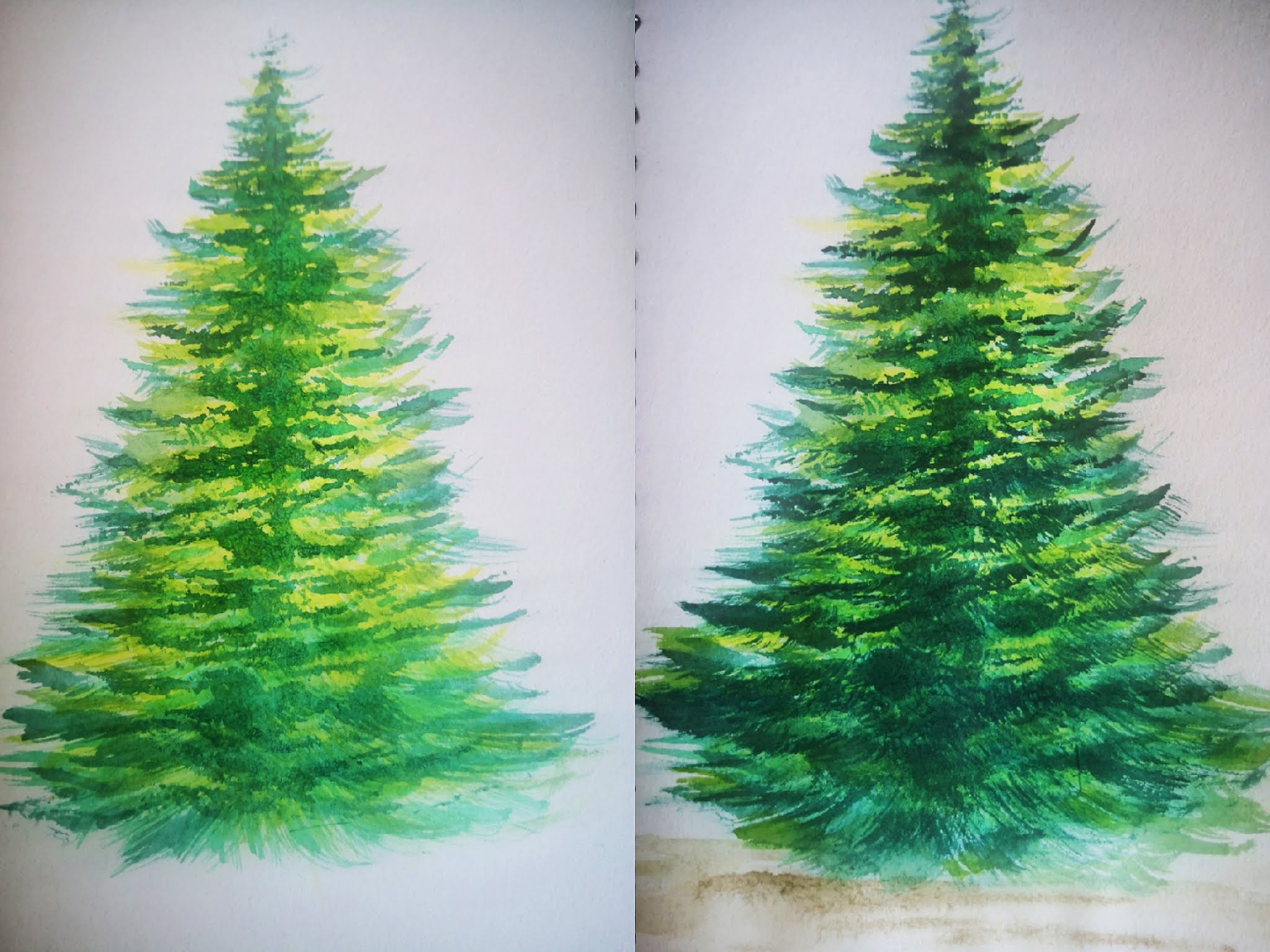 How to Draw a pine tree in watercolor. Best ideas for drawing tutorial ...