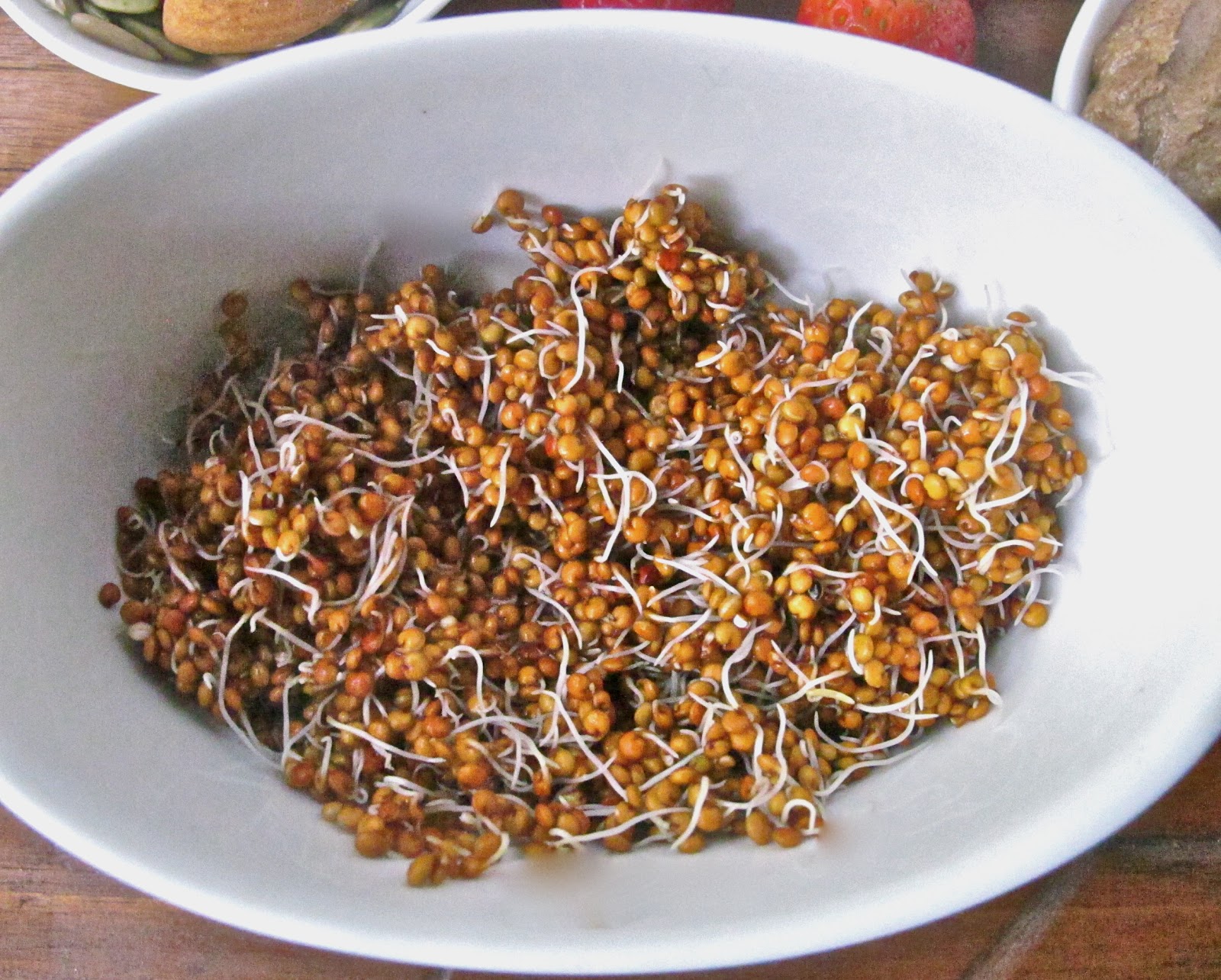 the wren and rabbit: sprouted quinoa breakfast - 100% raw