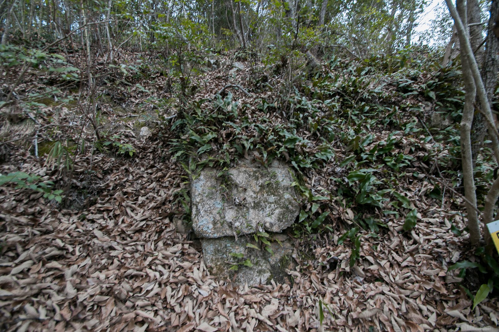 Niitakayama Castle -Intellectual pillar of Mouri clan (2)- | Japan ...