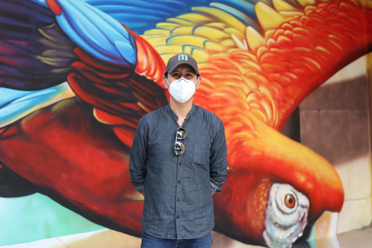 Kiwi's Angels: 3D Street Art by Carlos Alberto GH