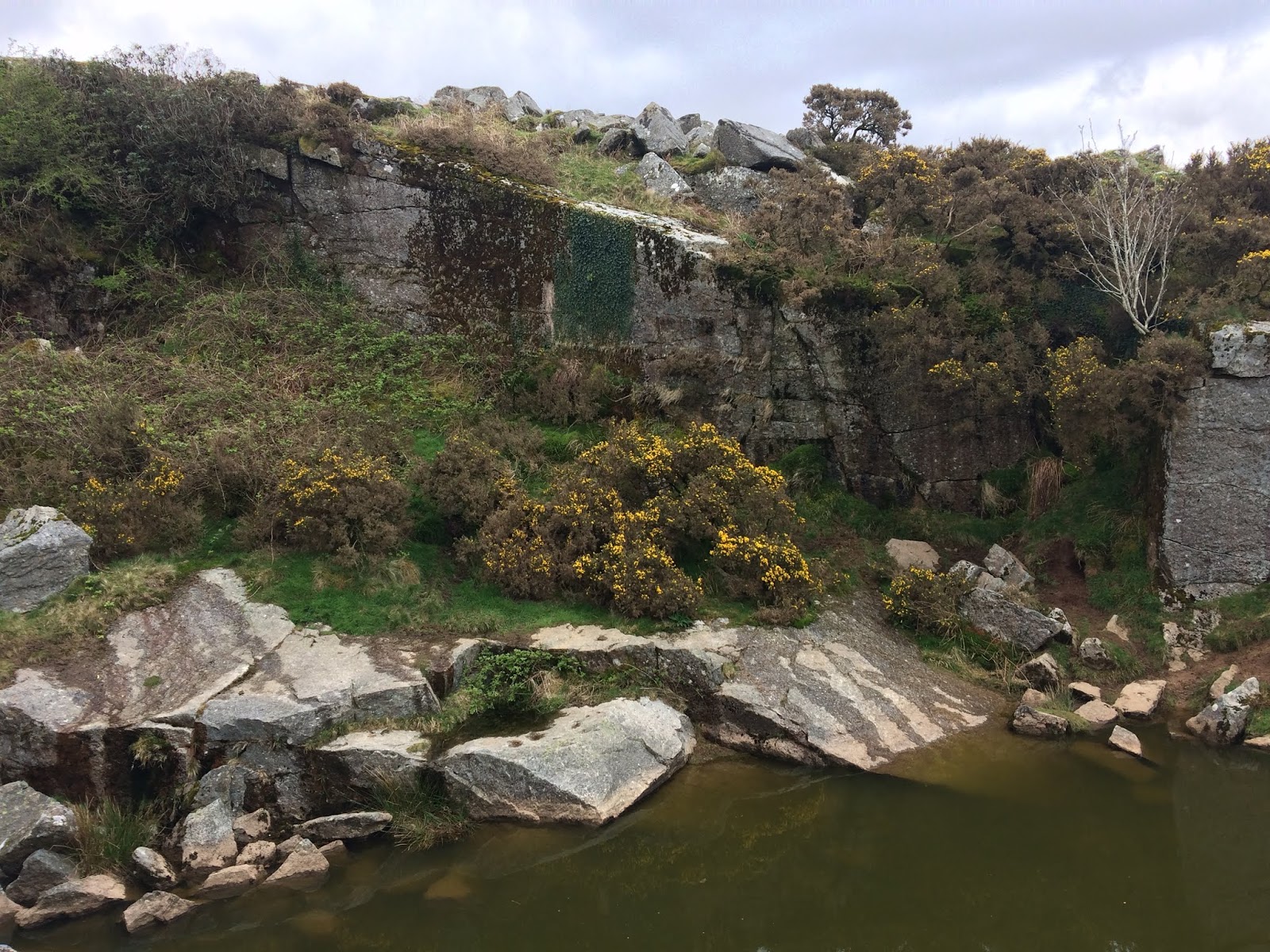 Max Piper - Tor Bagger: Dartmoor: Pew Tor and Heckwood Tor