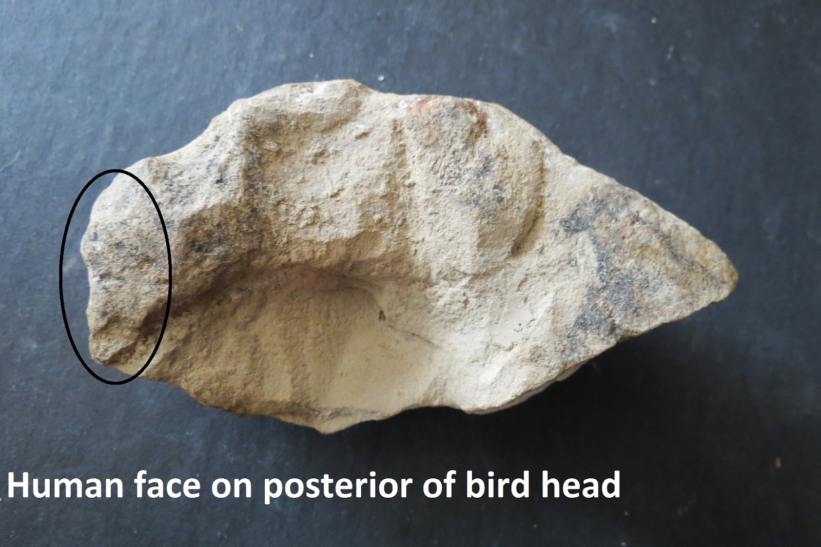 Archaeology of Portable Rock Art: Left-handed tool is breathing bird ...