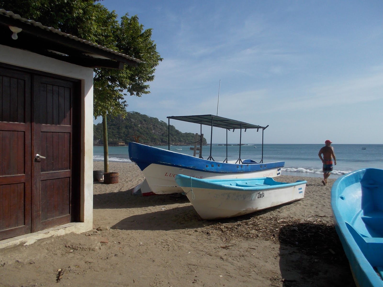 COQUÍN DE LOS BOSQUES EN CENTRO AMÉRICA: PLAYA GIGANTE, PLAYA AMARILLO ...