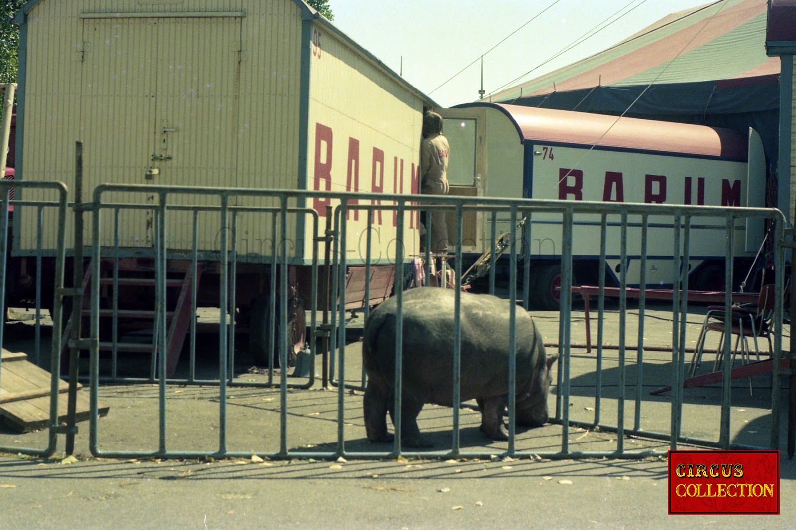 Circus -Collection: Circus Barum 1976