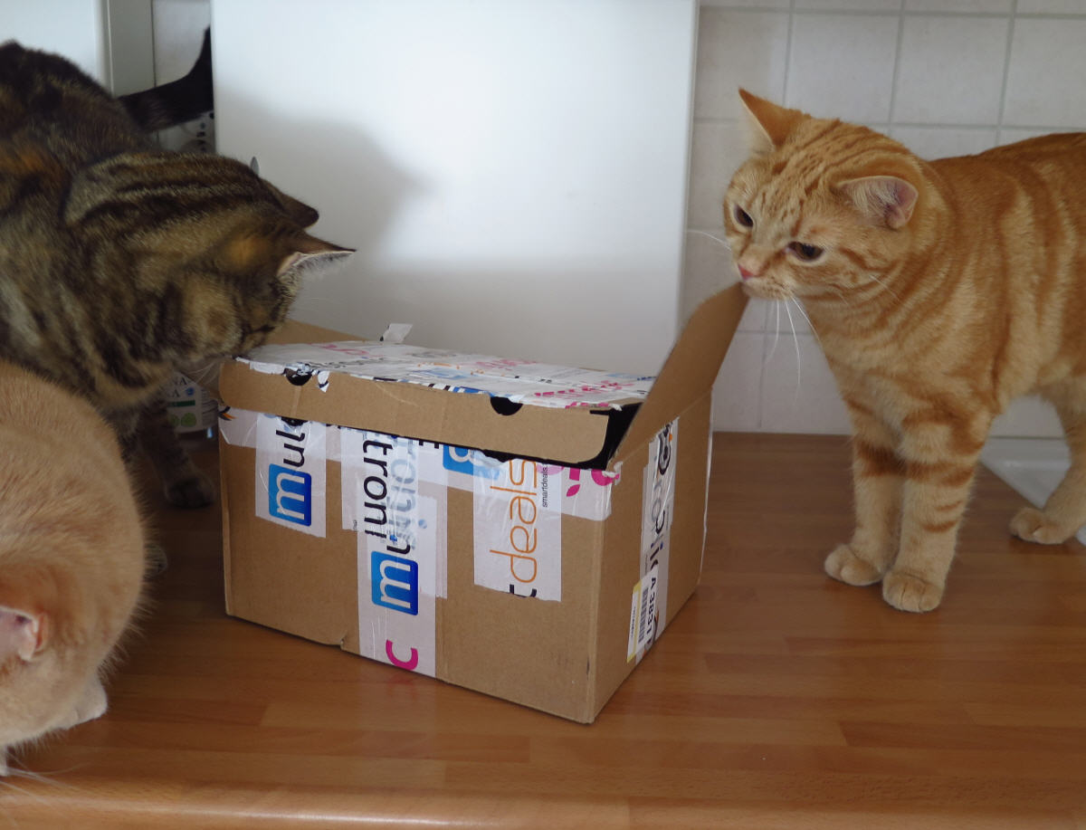 Kiskatit: Postipaketti