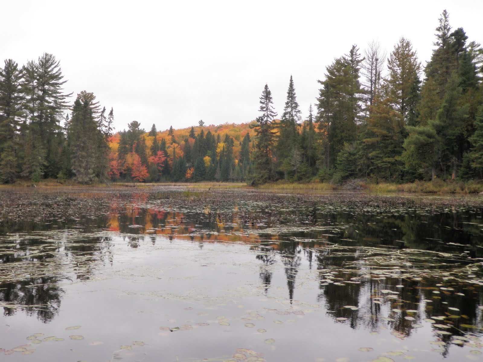 Nicks Outdoor Adventures: Big Trout Lake Loop Fall 2010 - Part 2