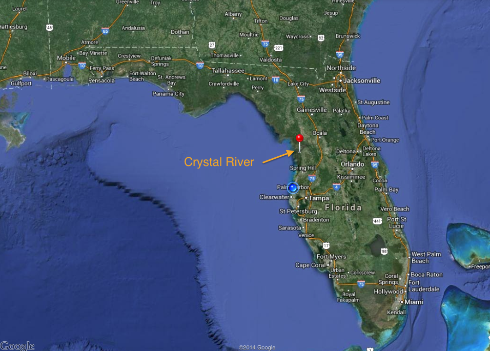 Once in a Blue Moon: Sunday, January 26: 101 Miles from Steinhatchee to ...